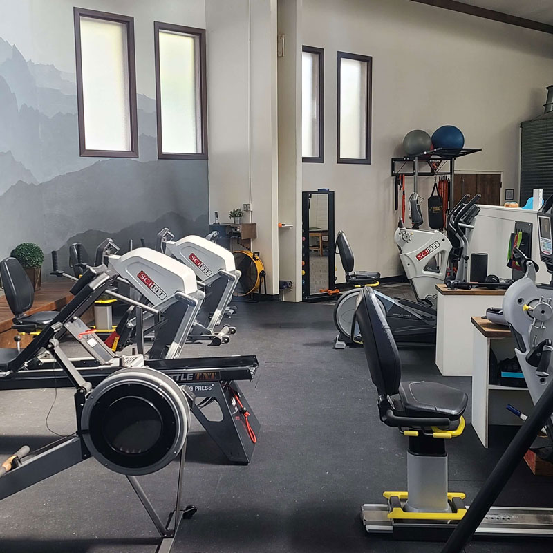 Multi Gym Exercise Equipment for Physical Therapy | GM Therapy Solutions